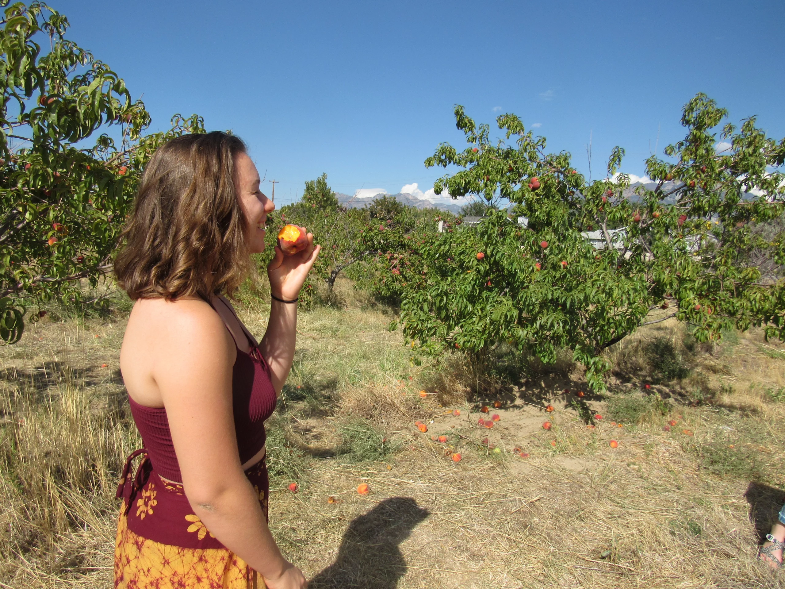 Photo Essay: Apples and Hillel for a Sweet New Year - Hillel International