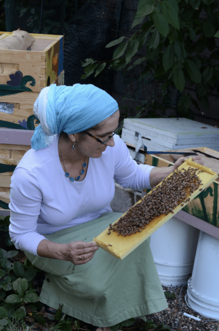 Welcome to Hillel - Hillel International