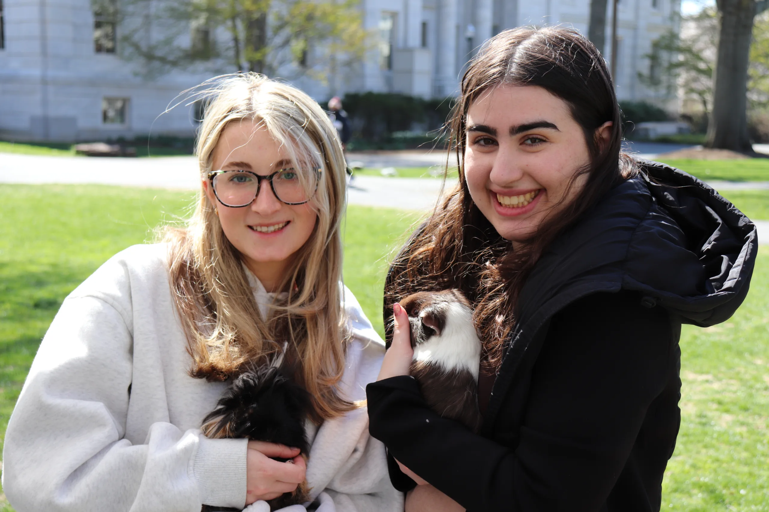 At American University Hillel, a Purim Celebration Brought Furry Fun ...