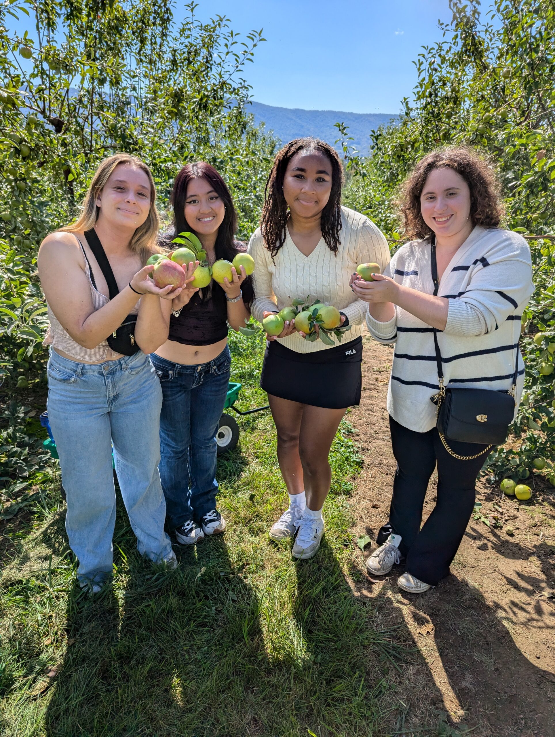 At Virginia Tech Hillel, Sustainability and Jewish Tradition Go Hand in ...